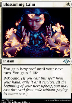 W/B 8 Rack (Modern MTG Deck)