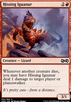 Lizard Deck (Unknown MTG Deck)